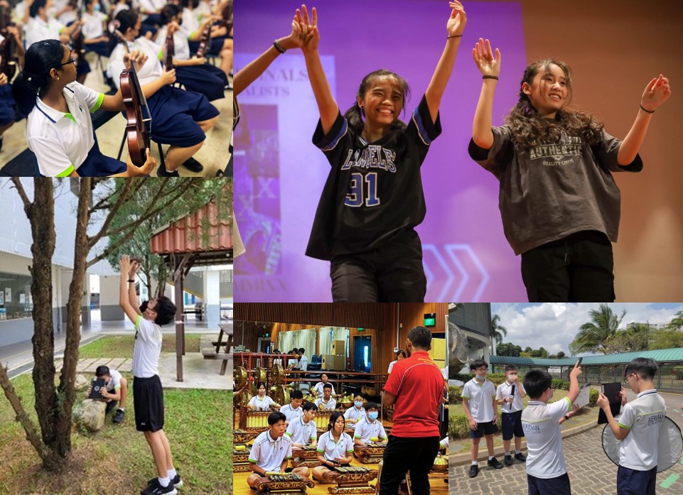 Applied Learning Programme (ALP) – Aesthetics